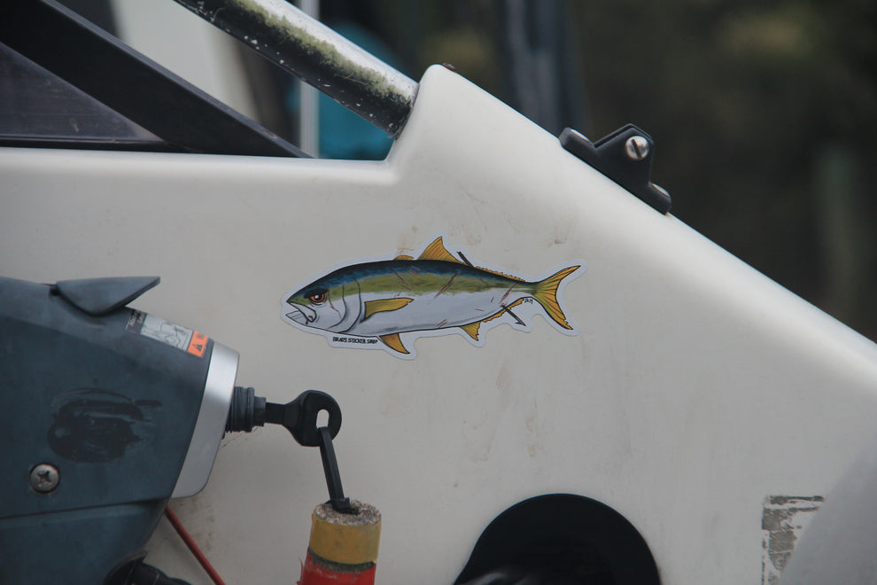 (Sticker 010) Yellow Tail King Fish (Kingie) – Brads Art & Stickers